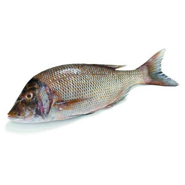 Fresh Emperor / Vizhai Fish 1kg^ - Asian Groceries Store